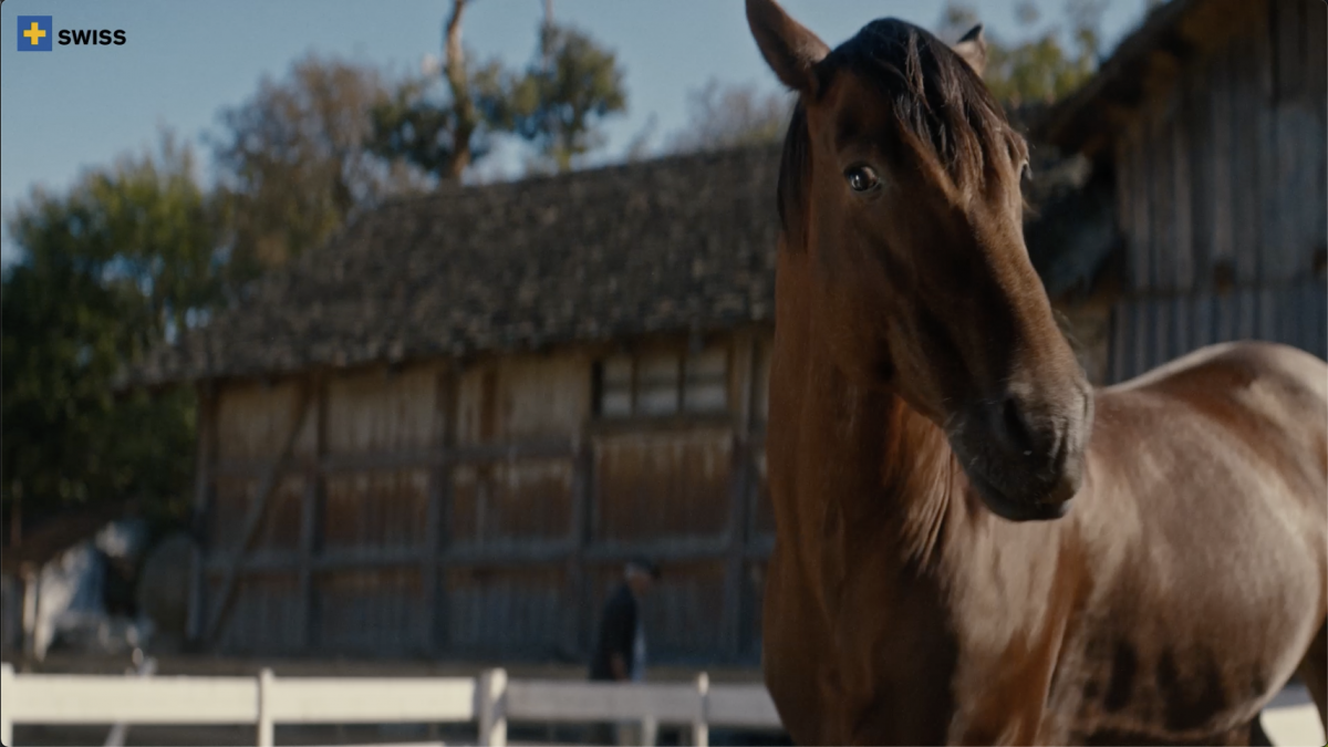 ATG Singing horse - mambo No5 - Swiss